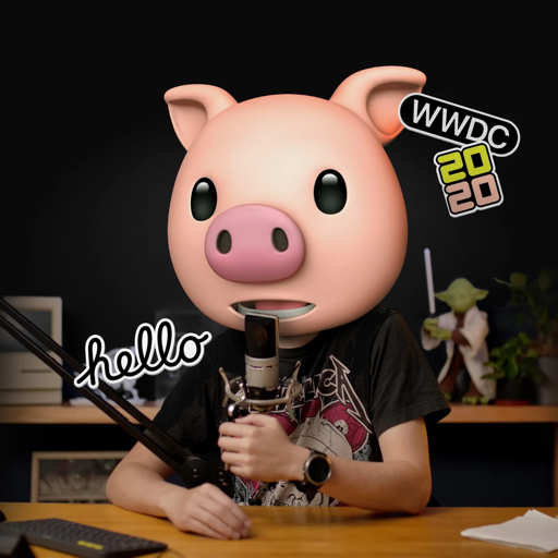 flypig同学 