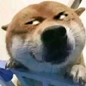倒立的镜像 
