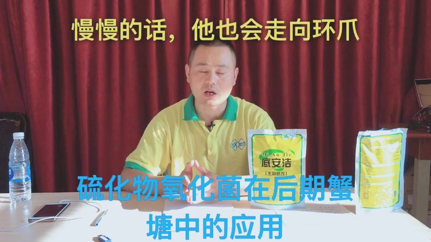 硫化细菌在螃蟹养殖过程中的应用介绍 #葛店长说蟹