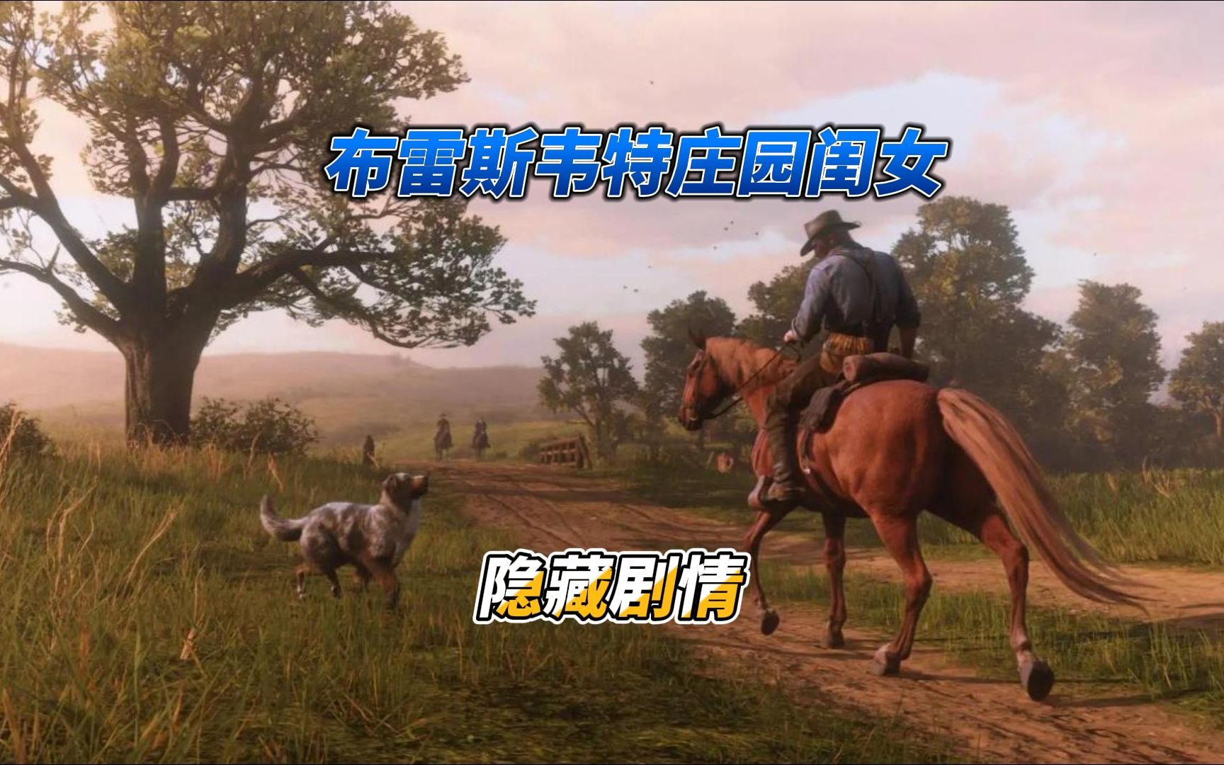 荒野大镖客2 贵族小姐的隐藏剧情