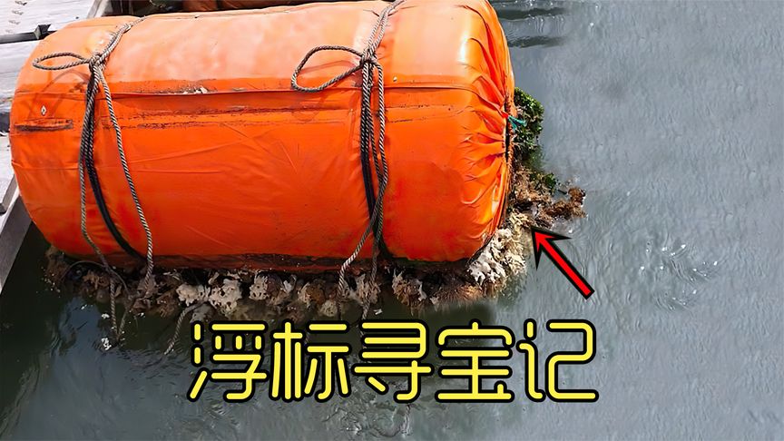 当你打开一个废弃了10年的海上浮标时,会出现什么样的生物?
