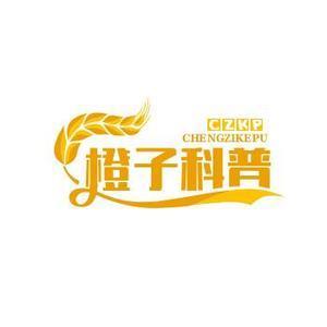 橙子科普 