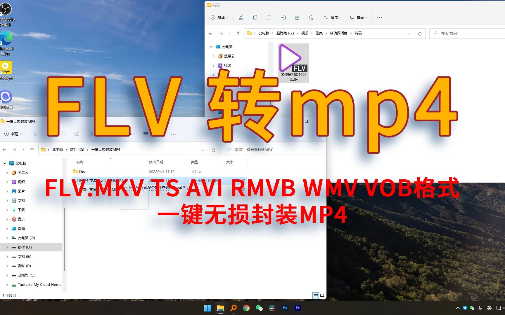QSV FLV.MKV TS AVI RMVB WMV VOB格式一键无损封装MP4