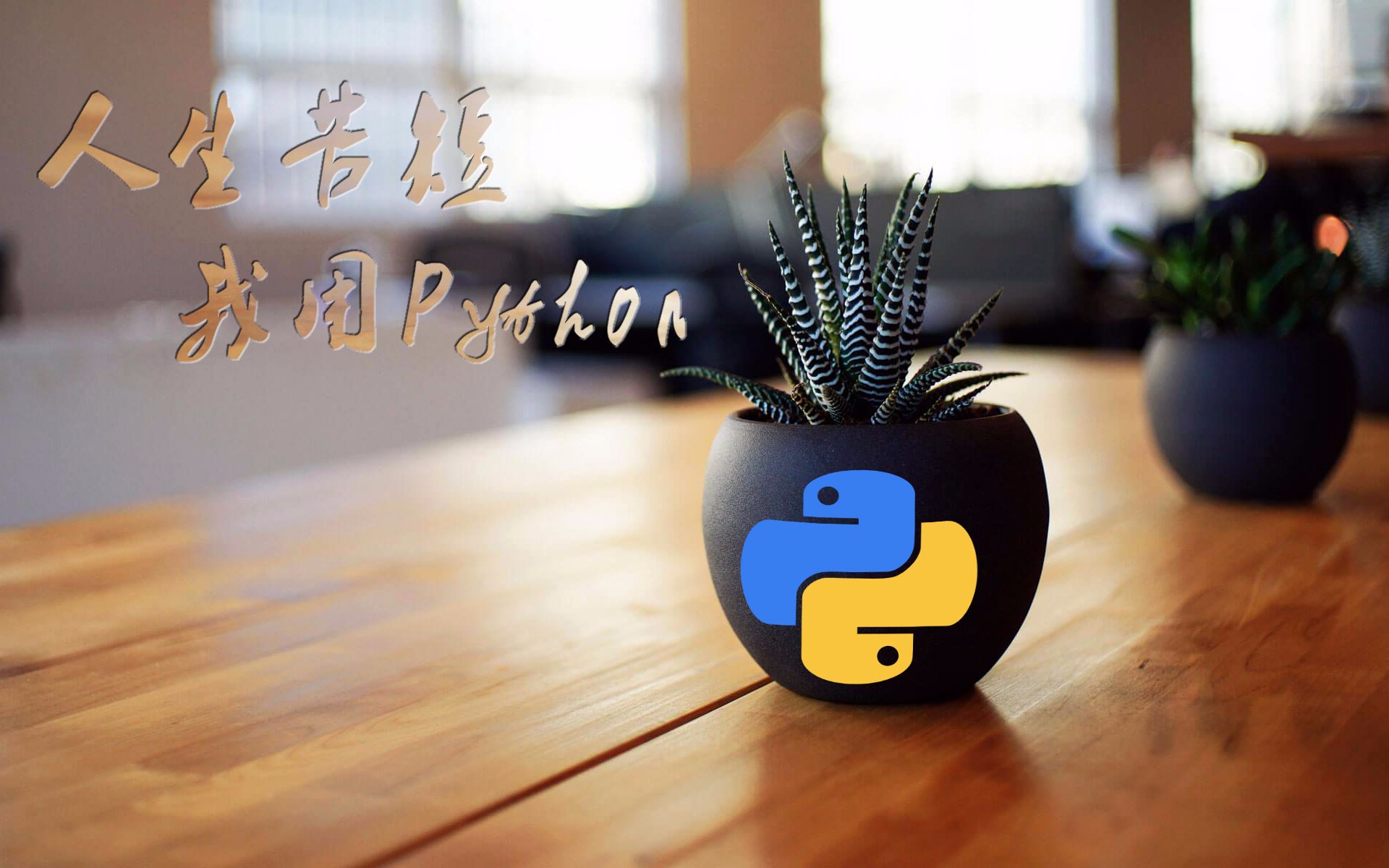 Python实战教程:利用Python简单制作一款桌面翻译软件