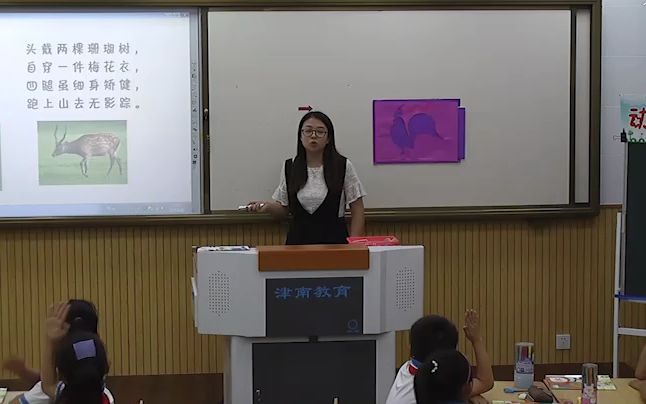 ...编人教版小学美术三年级下册《动物的花衣裳》获奖优质课视频,天津市