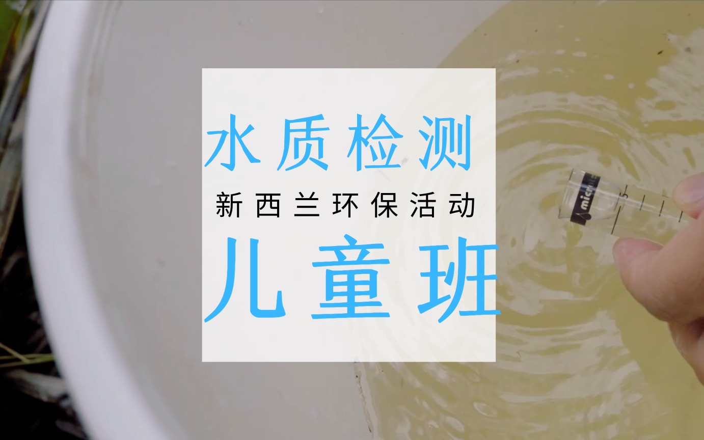 奥克兰Lynfield 公园小溪水质检测-儿童也可以参加的检测活动