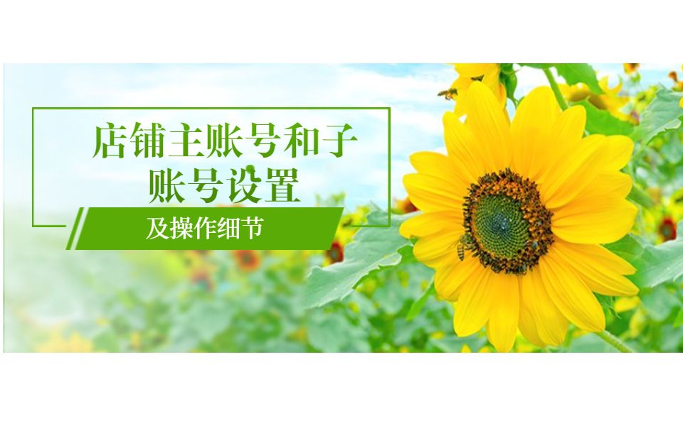 拼多多店铺主账号和子账号设置及操作细节