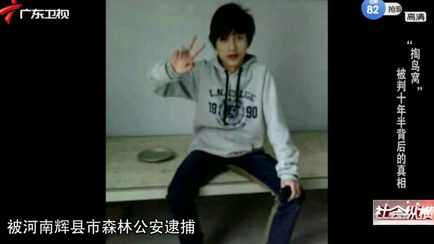 男子闲暇时“掏鸟窝”,意外获刑10年半,从大学生变成了阶下囚