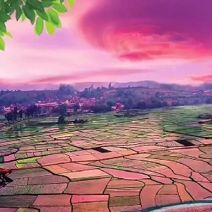 爱写字的静静呀 