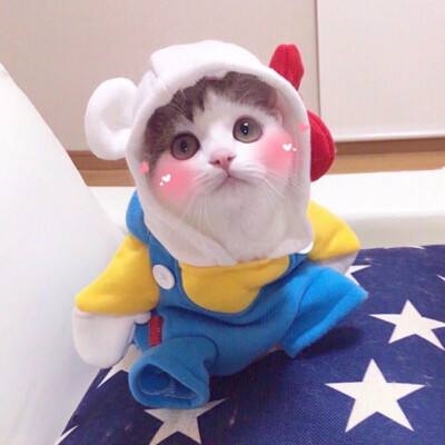 像风壹样 
