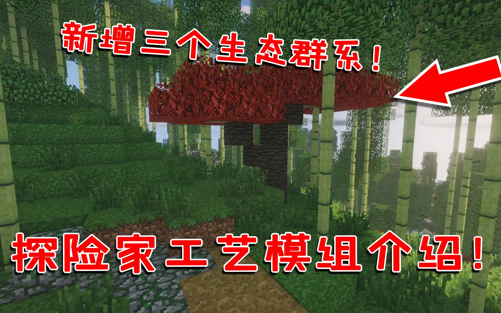 我的世界:在MC内加入三种生态群系!探险家工艺模组介绍![番外篇240]