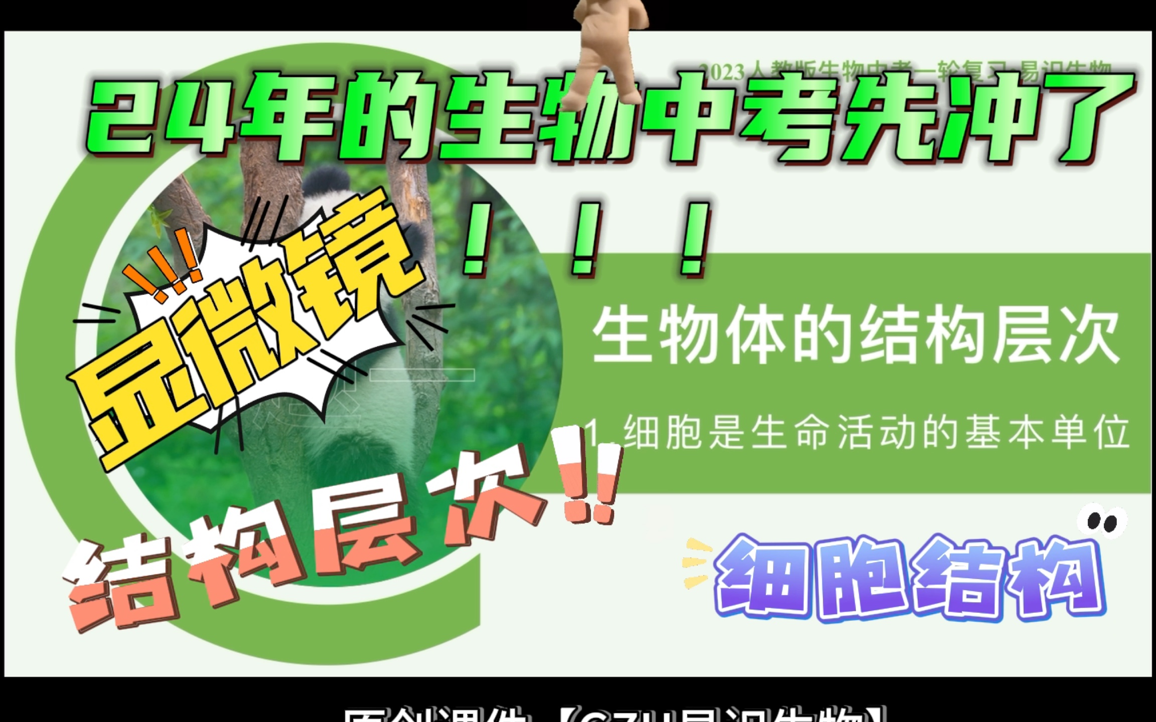 【生物中考一轮复习】专题一 生物体的结构层次(第1节 细胞是生物体...