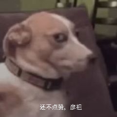 灰色の黑 
