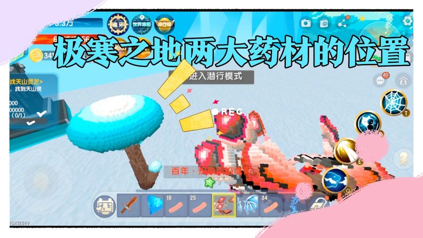 迷你世界:极寒之地两大药材的具体位置【超详细的哟】!