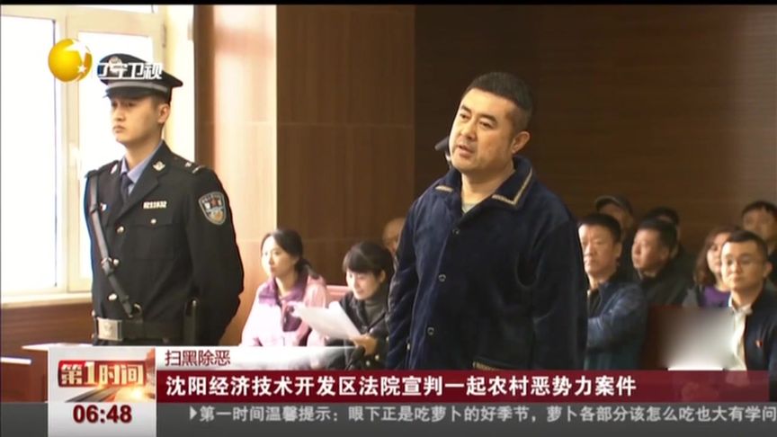 扫黑除恶:沈阳经济开发区法院宣判,一起农村恶势力案件!