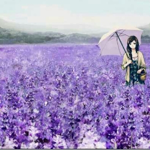 薰语草 