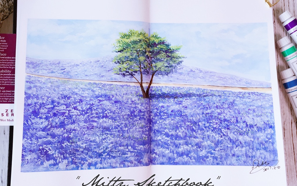 【米蒂手绘视频】粉蝶花海