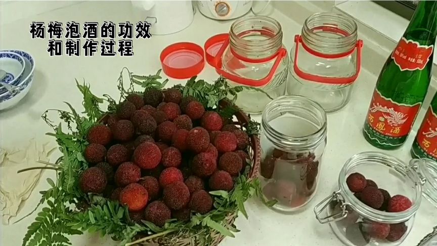 杨梅泡酒的功效和制作过程