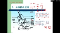 5、七年级上册生物认识显微镜