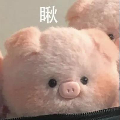快乐吱猪侠 