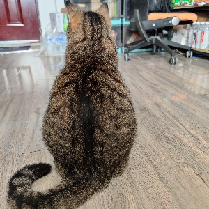 高中想得到数学 