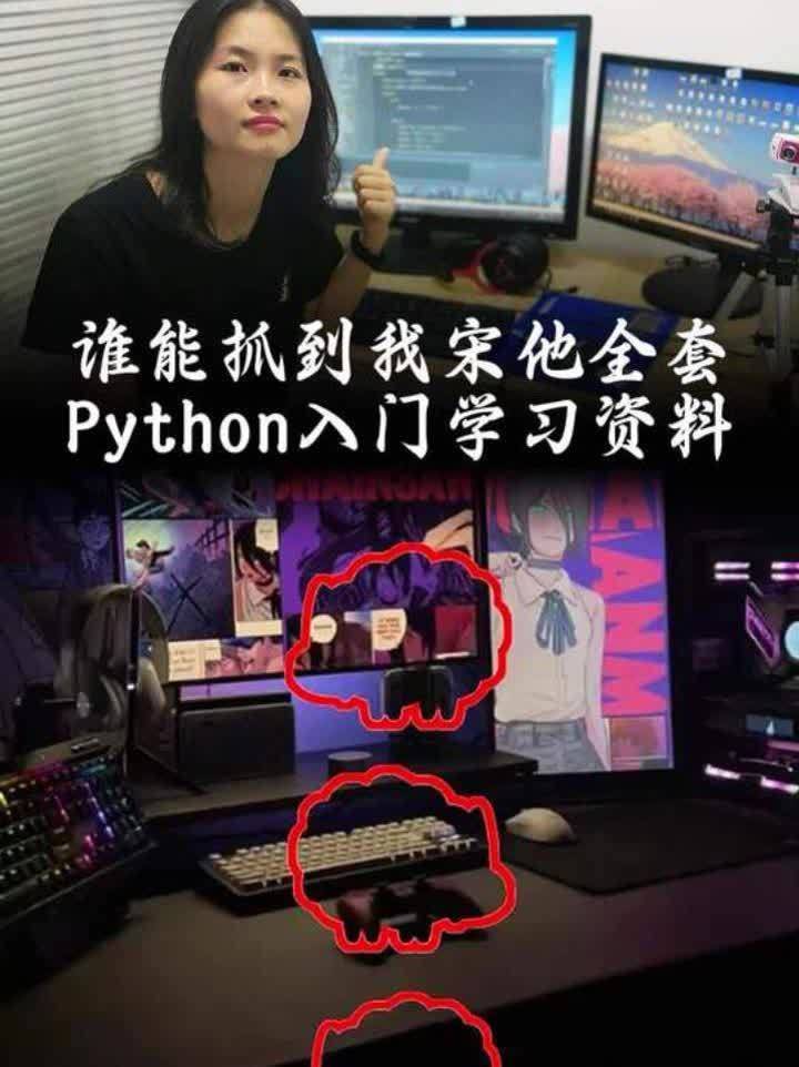 程序员抓羊 编程