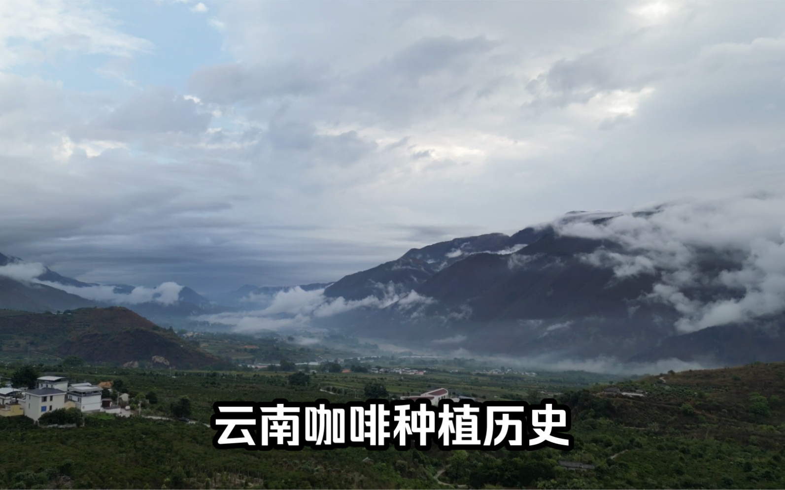 云南咖啡种植历史_如何在云南拥有一座咖啡庄园