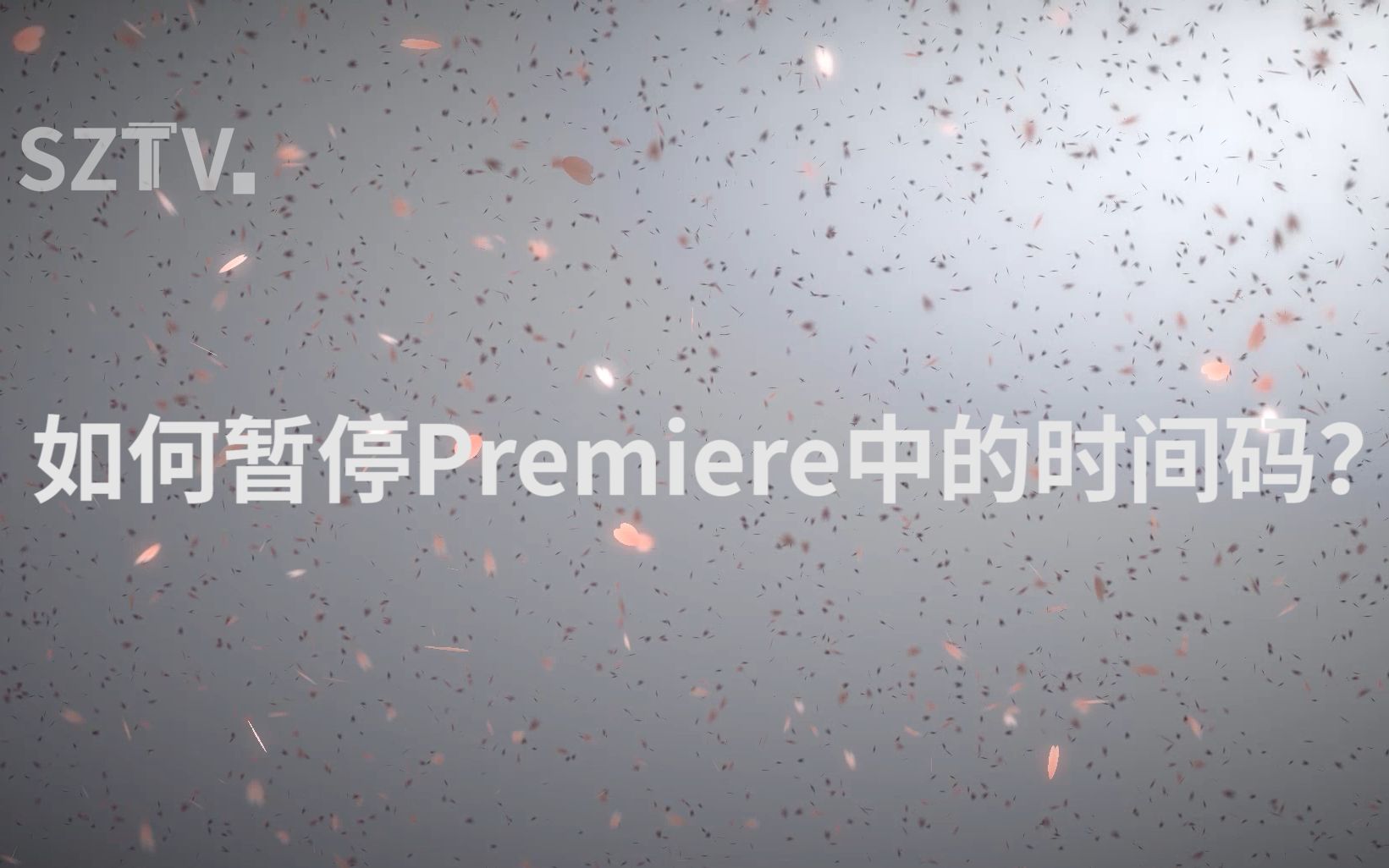 如何暂停Premiere中的时间码