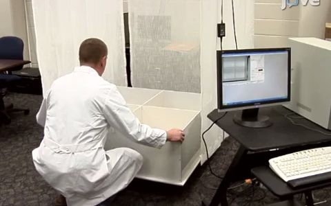 动物行为学实验 | Open Field Test from Auburn University(旷场试验)