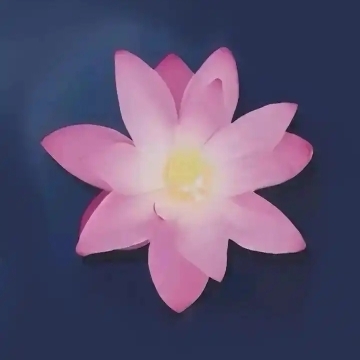 迷兔之子 
