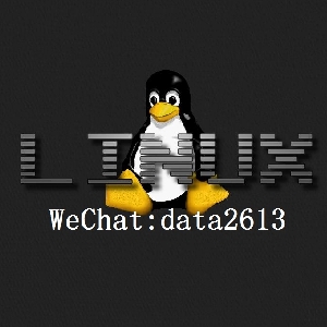 萌新小六 