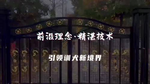 北京宠物学校,在线获取报价,现在咨询宠物学校,狗狗学校 宠物训练 ...