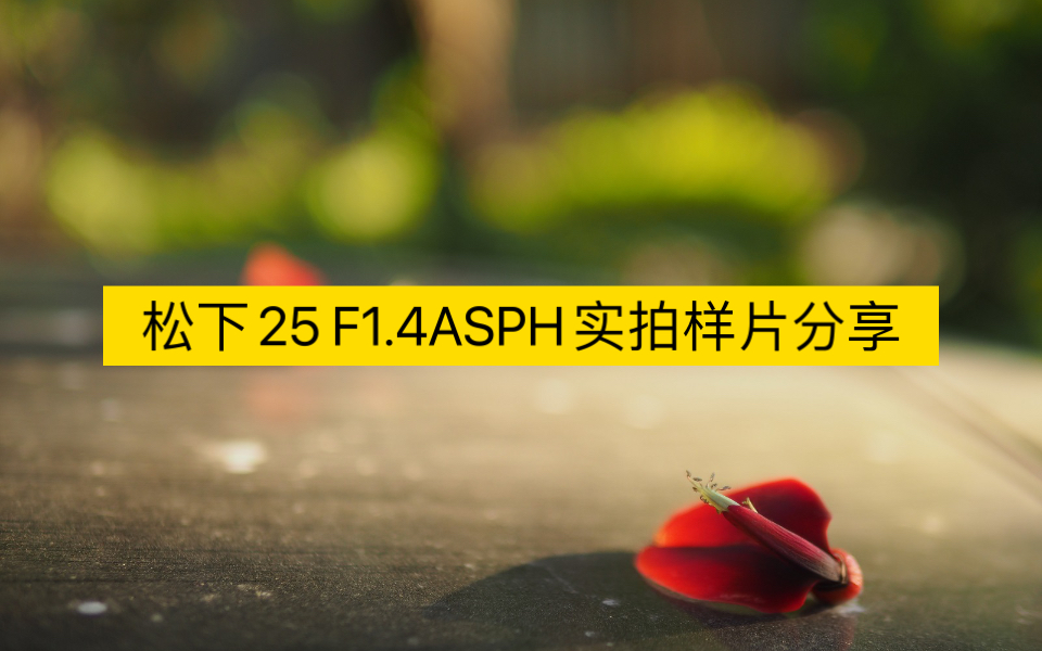...summilux实拍样片分享.机身PEN-F,全部照片均为JPEG标准模式直出。