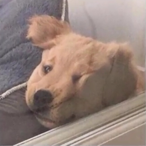 病仔的替身 
