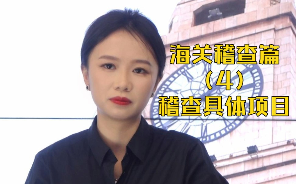 海关稽查篇(4)稽查具体项目
