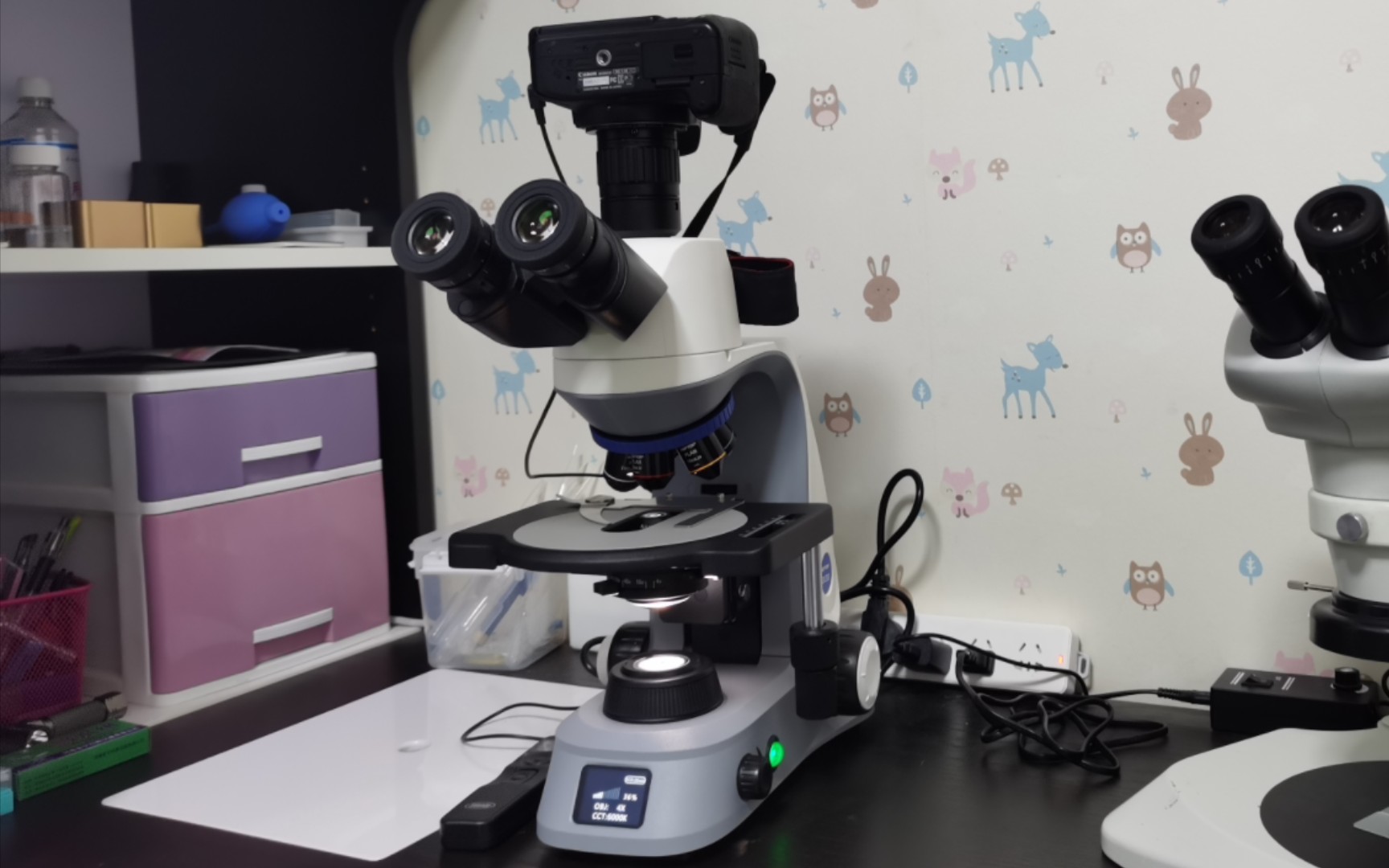 全新舜宇SOPTOP EX33显微镜分享