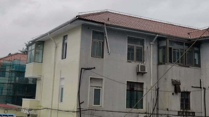 上海的台风还好不大,不然我真怕你掉下来