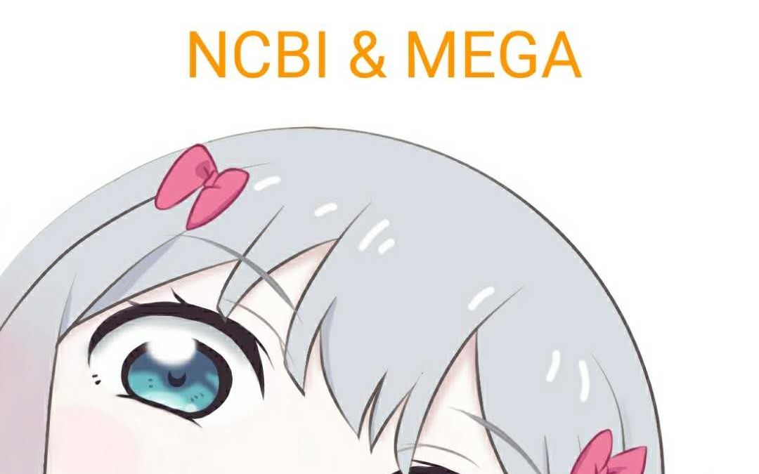 利用ncbi和mega创立系统进化树