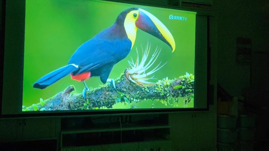 日立投影仪3410W,画质实拍,看电视上网课,几百块钱,也挺值