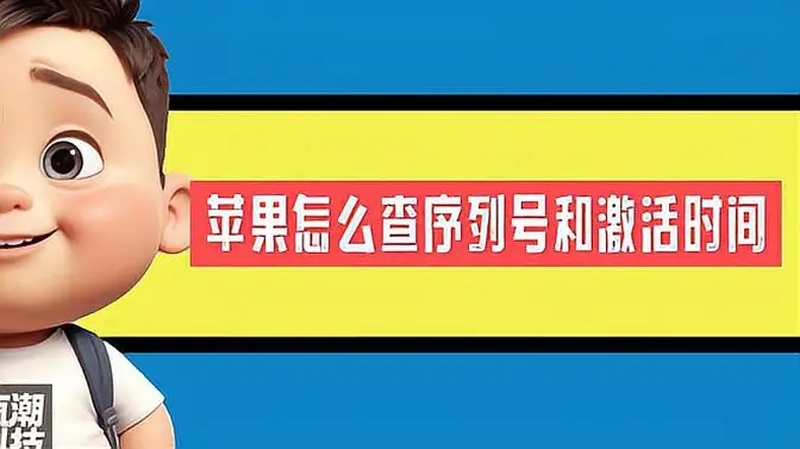 苹果怎么查序列号和激活时间