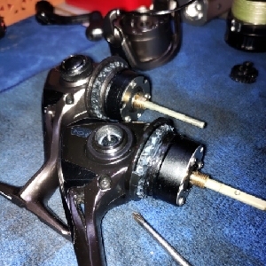 路亚渔轮保养李木子 