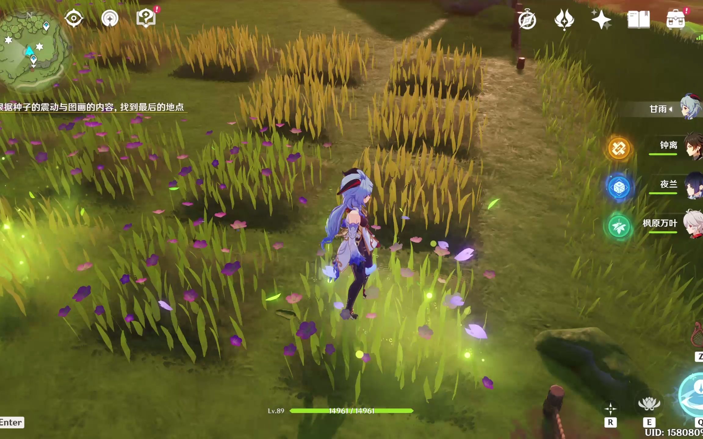 原神森林书里第三章-水天供书-寻找苗圃-11