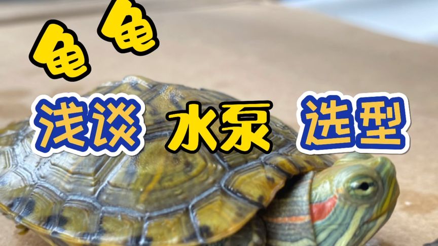 浅谈水泵选型,萌新如何选择水泵。 2分20秒划重点,不要错过