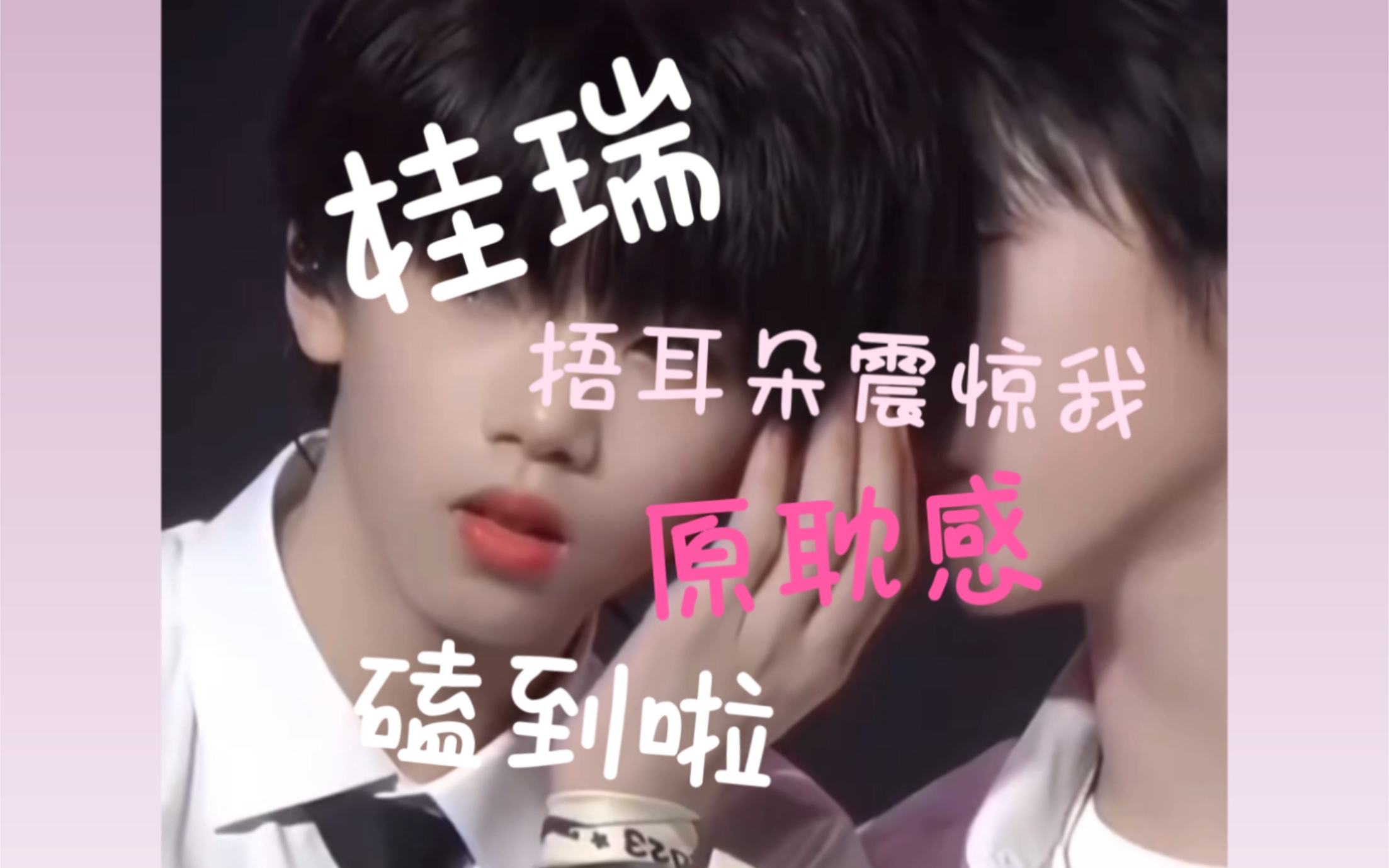 TF家族四代cp向桂瑞reaction