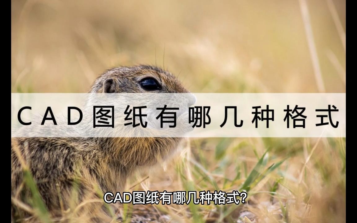 CAD图纸有哪几种格式?点击进来了解下