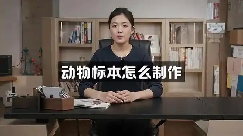 动物标本怎么制作