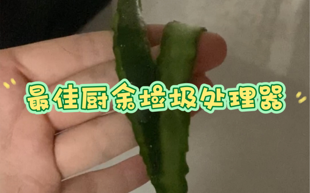 家庭厨余垃圾无害化处理机