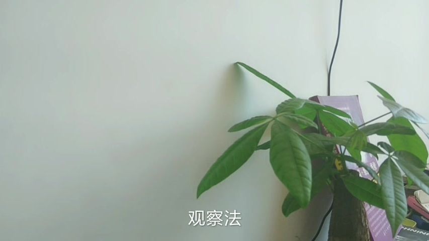 最实用的电脑故障检测方法,学会这几种方法,维修电脑不求人