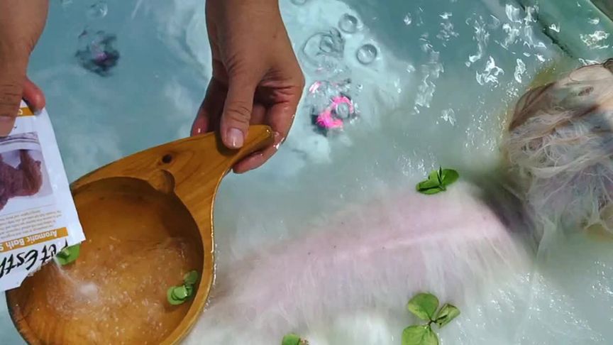 #宠物洗澡 #宠物Spa 夏季皮肤病大爆发 要注意勤洗澡 勤护理哦