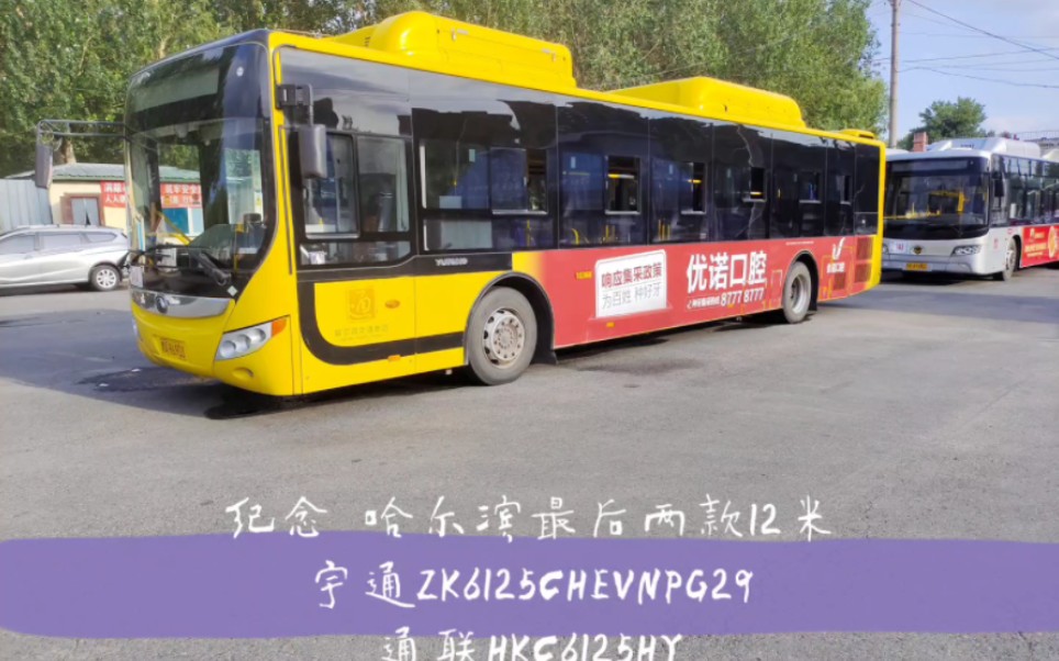 哈尔滨公交最后的12米纪念:宇通H12,通联HKC6125HY